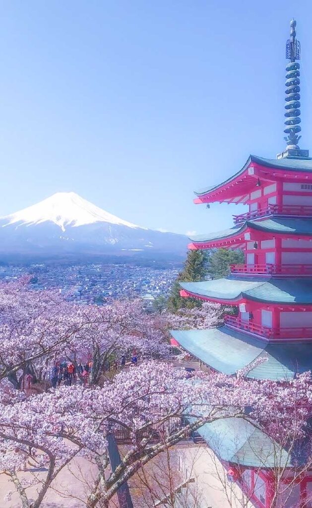 Where curiosity is your compass. Cherry blossoms and Mt. FUJI | Teen ...